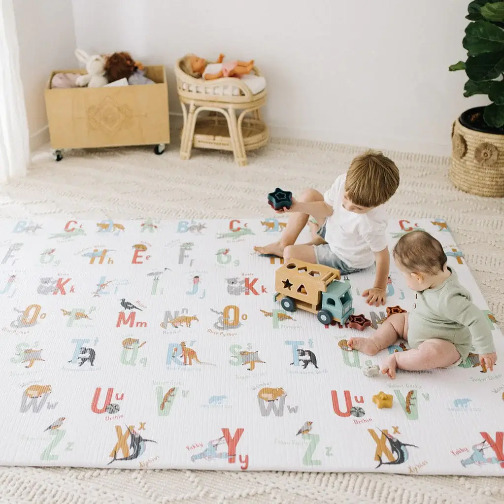 Freddy & Co Successfully Hires an eCommerce Marketing Expert • Cemoh